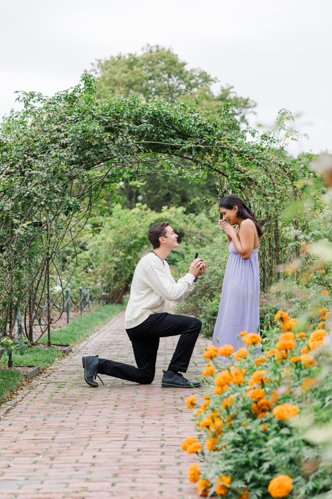 Importance of Hire a Proposal Photographer - Megan & Kenneth