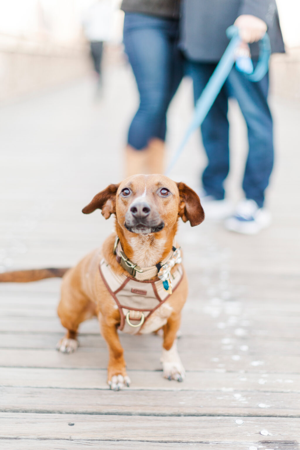 Fun-Filled Washington Street Engagement Photography