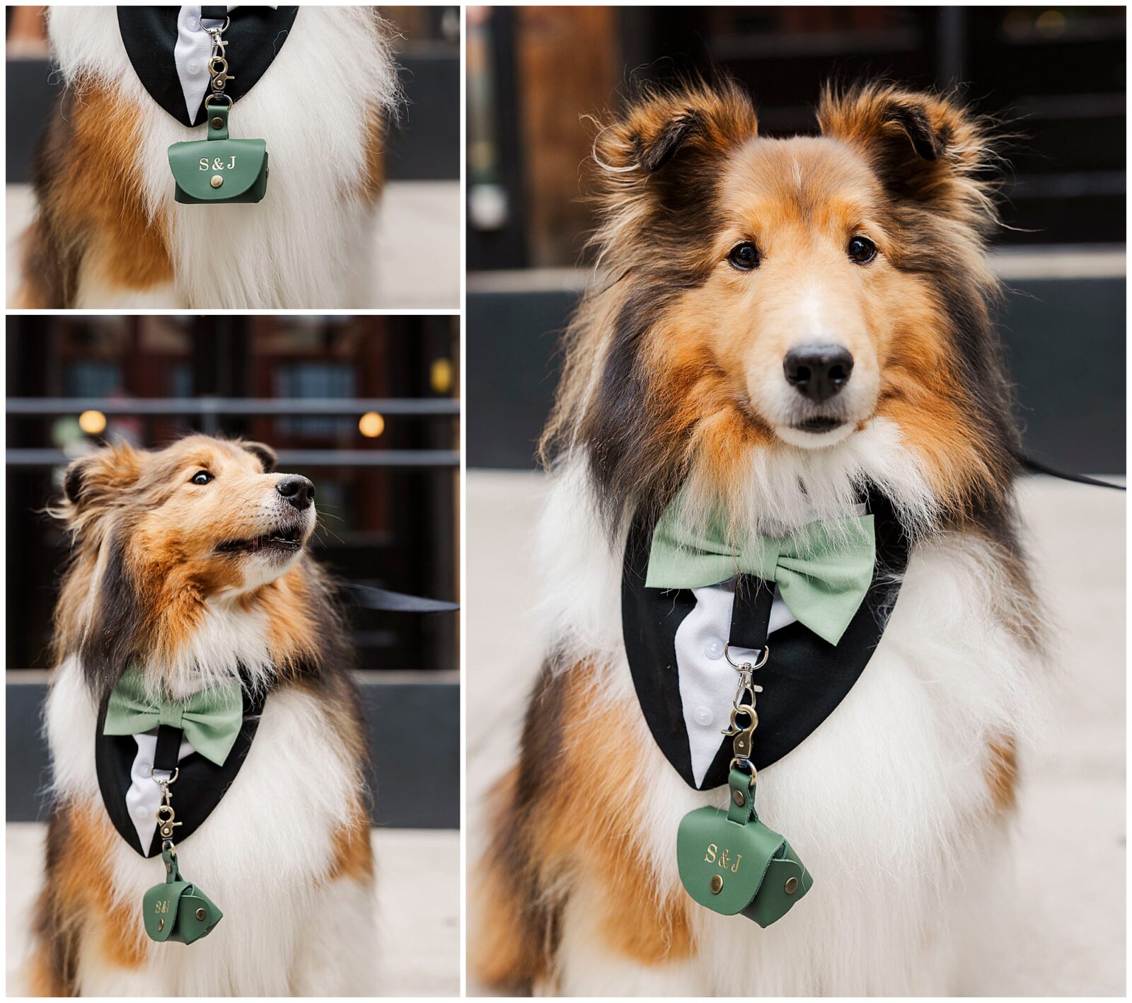 Intimate Milk & Roses Wedding Photos in Brooklyn, NY